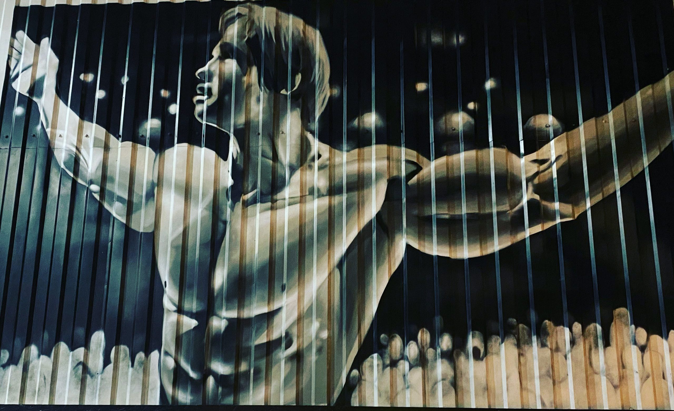 Mayhem Gym – The newest and most exciting gym in Boston!