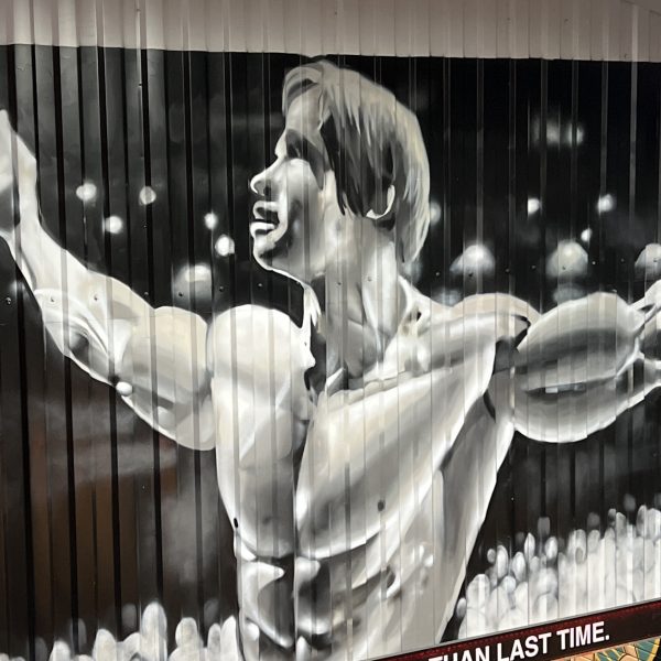 Memberships – Mayhem Gym